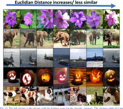 [PDF] ImageNet classification with deep convolutional neural networks ...